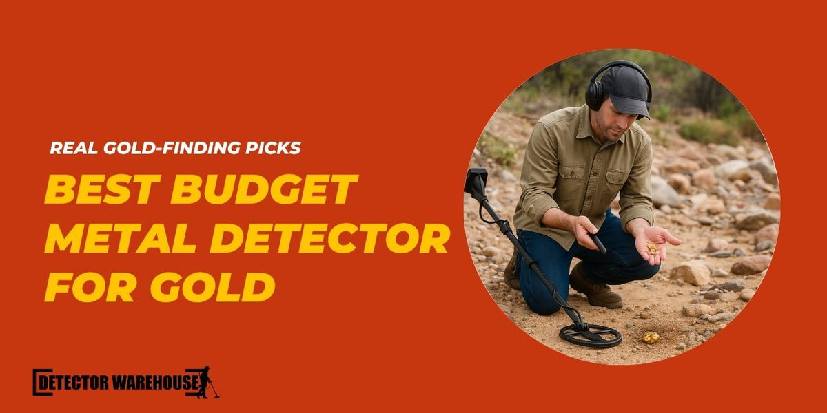 Best Budget Metal Detector for Gold (Real Gold-Finding Picks ...