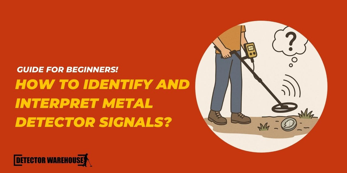 How to Identify and Interpret Metal Detector Signals? — Detector Warehouse