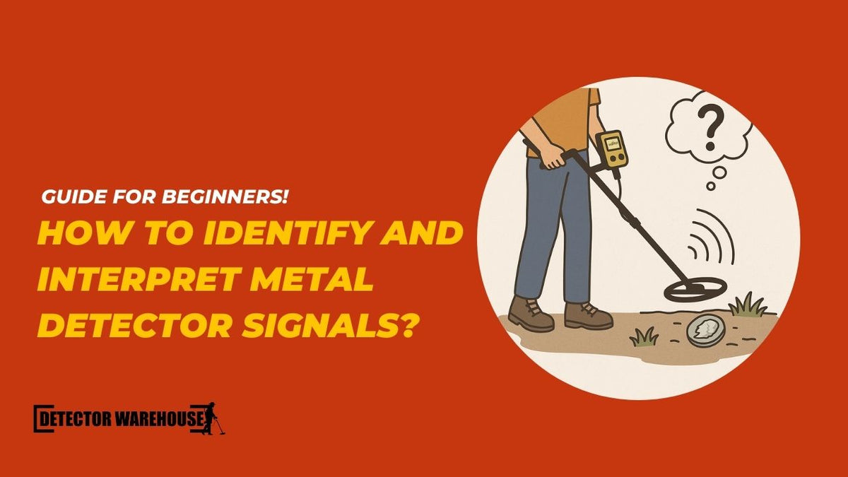 How to Identify and Interpret Metal Detector Signals? — Detector Warehouse